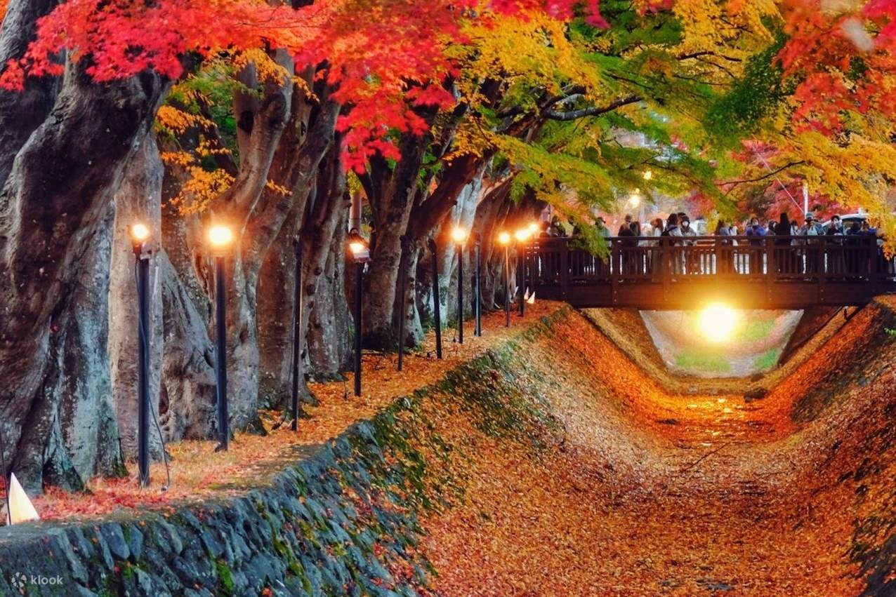Mt.Fuji One-day Maple Viewing Tour - Klook